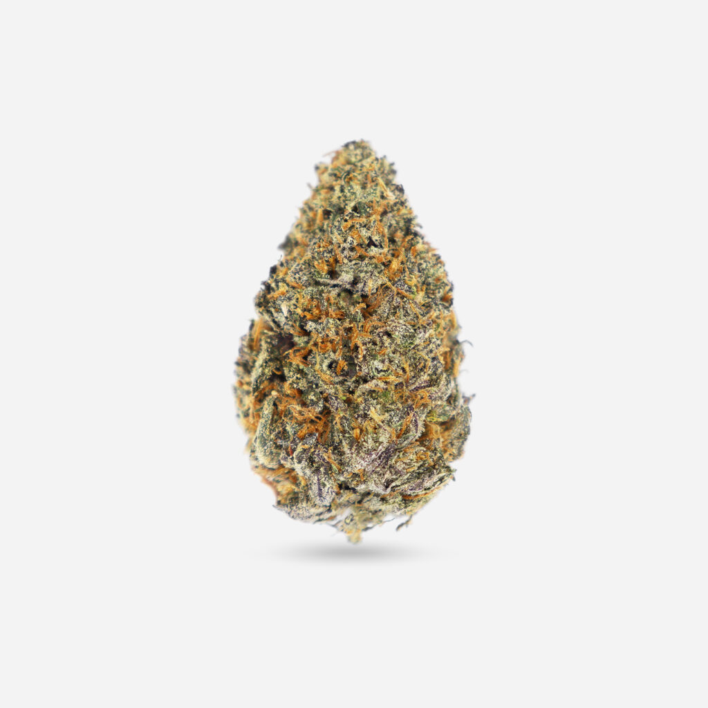 Purple Zkittlez - Hybrid - Bloom Supply