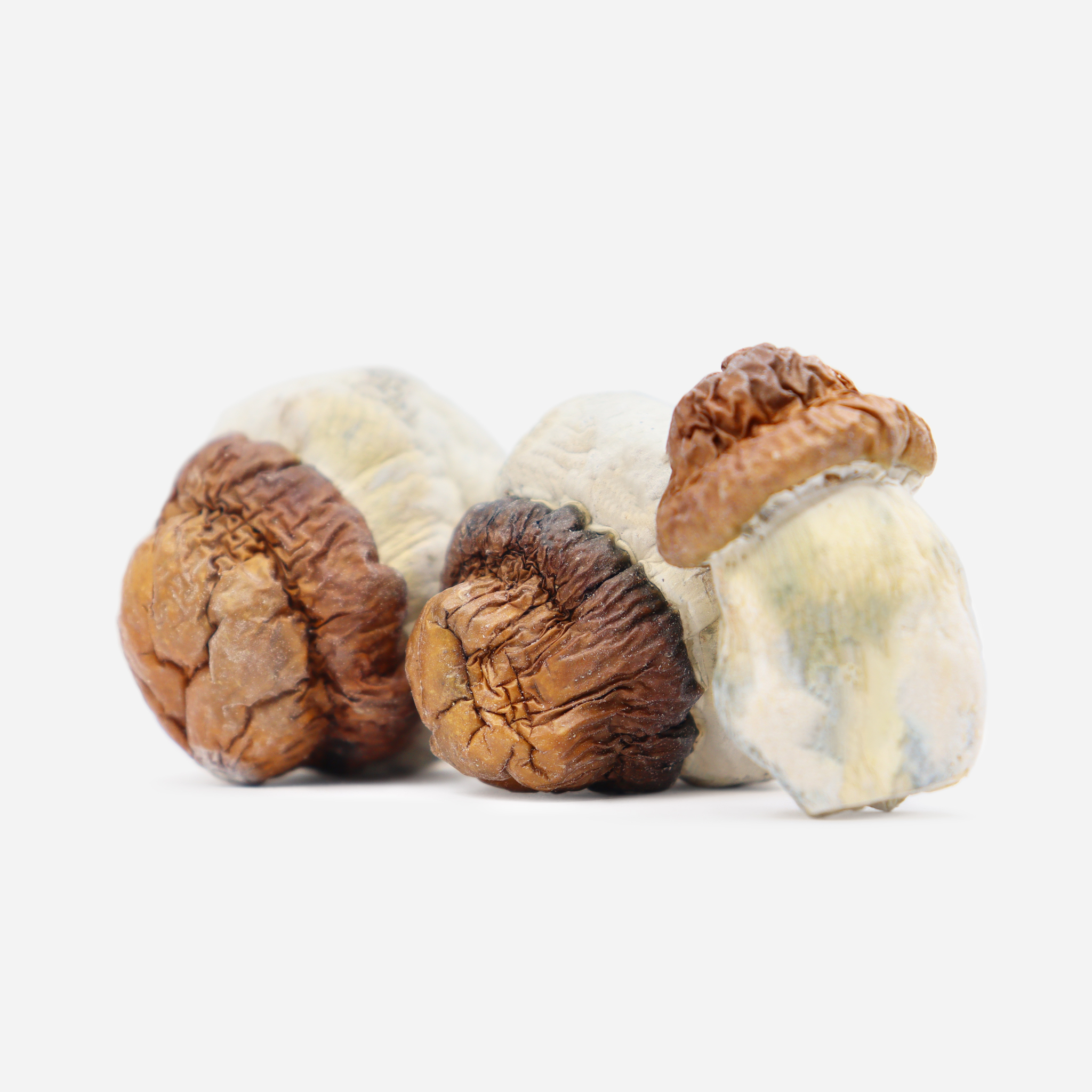 Code Blue Magic Mushrooms - Bloom Supply