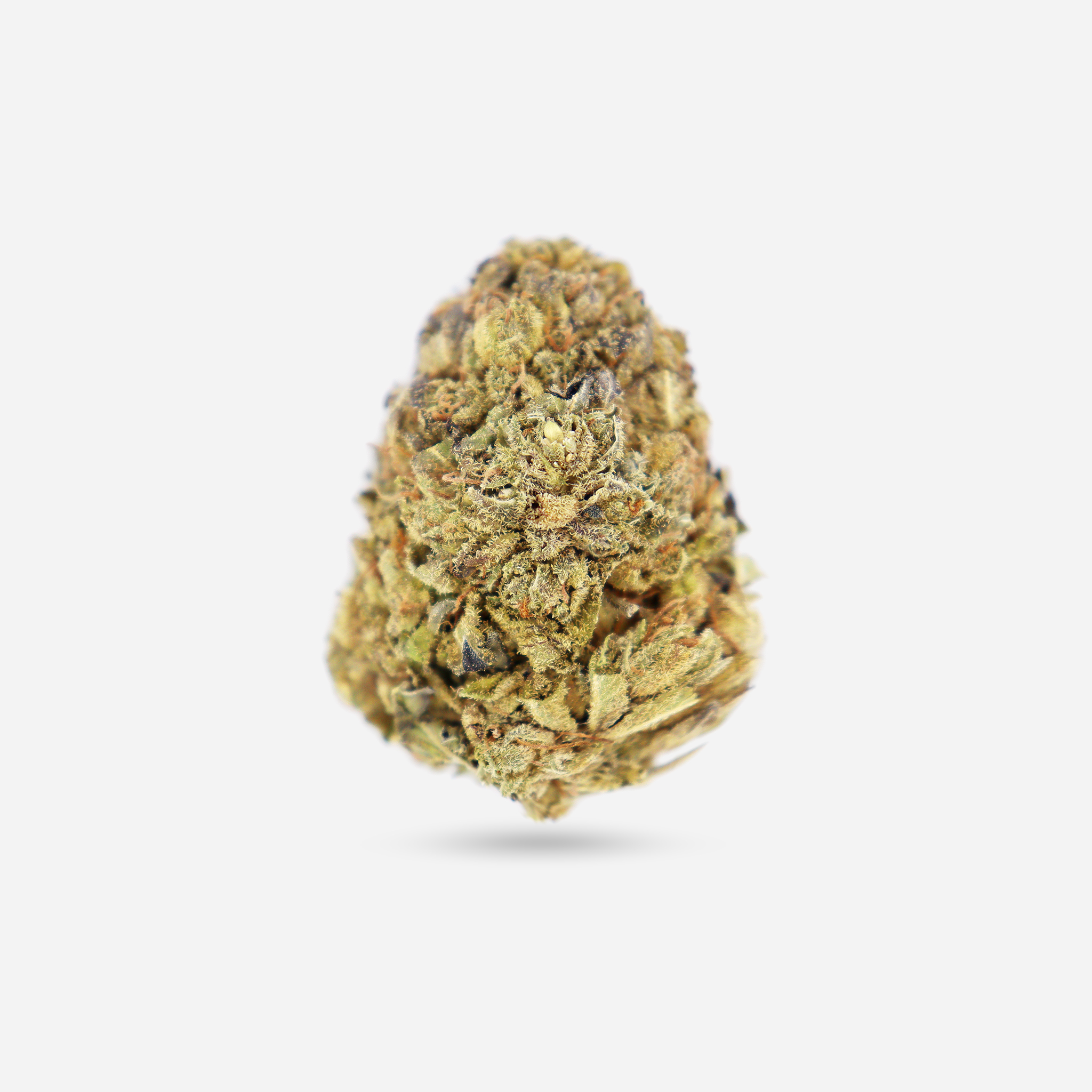 White Tahoe Cookies - Indica - Bloom Supply