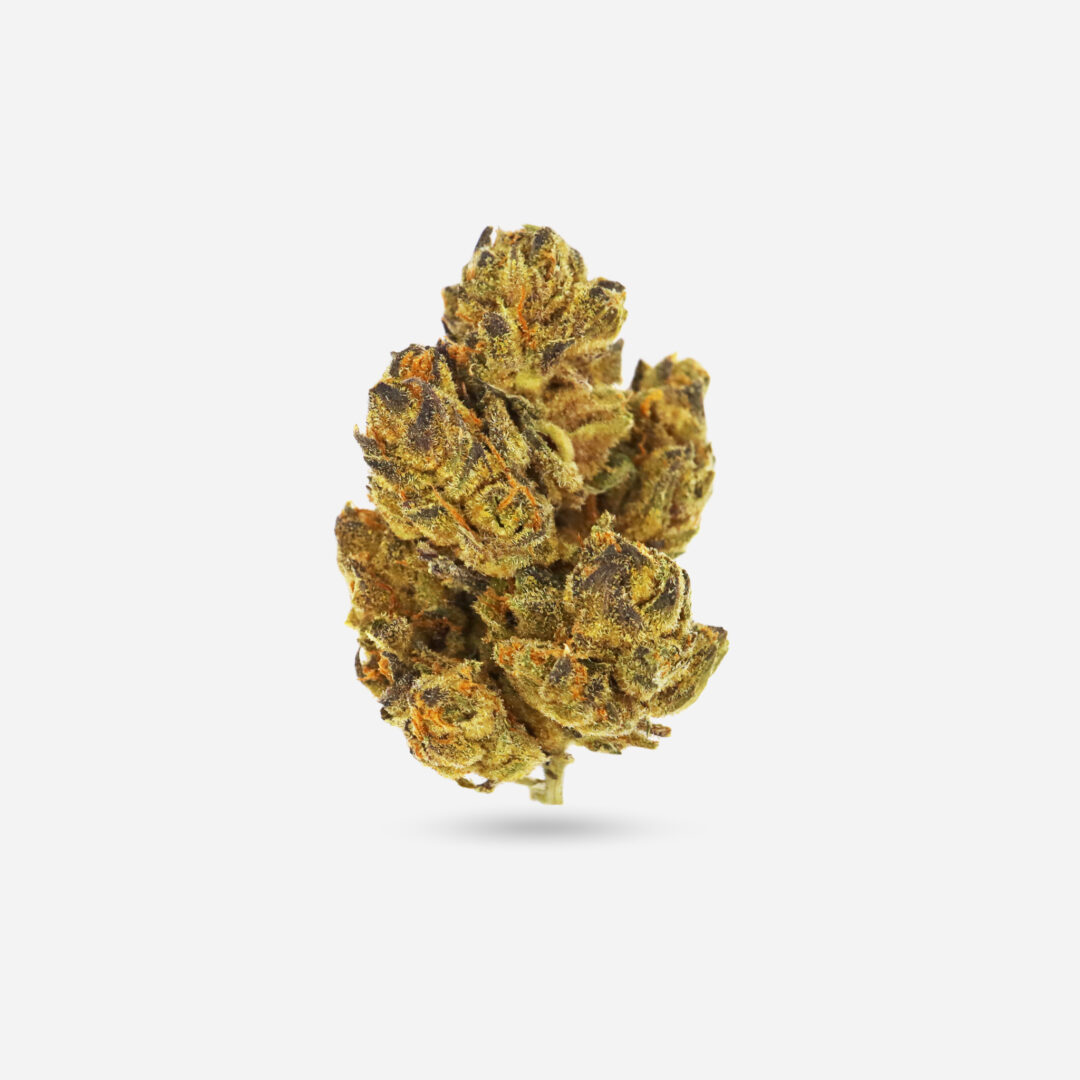 Moon Berry - Indica - Bloom Supply