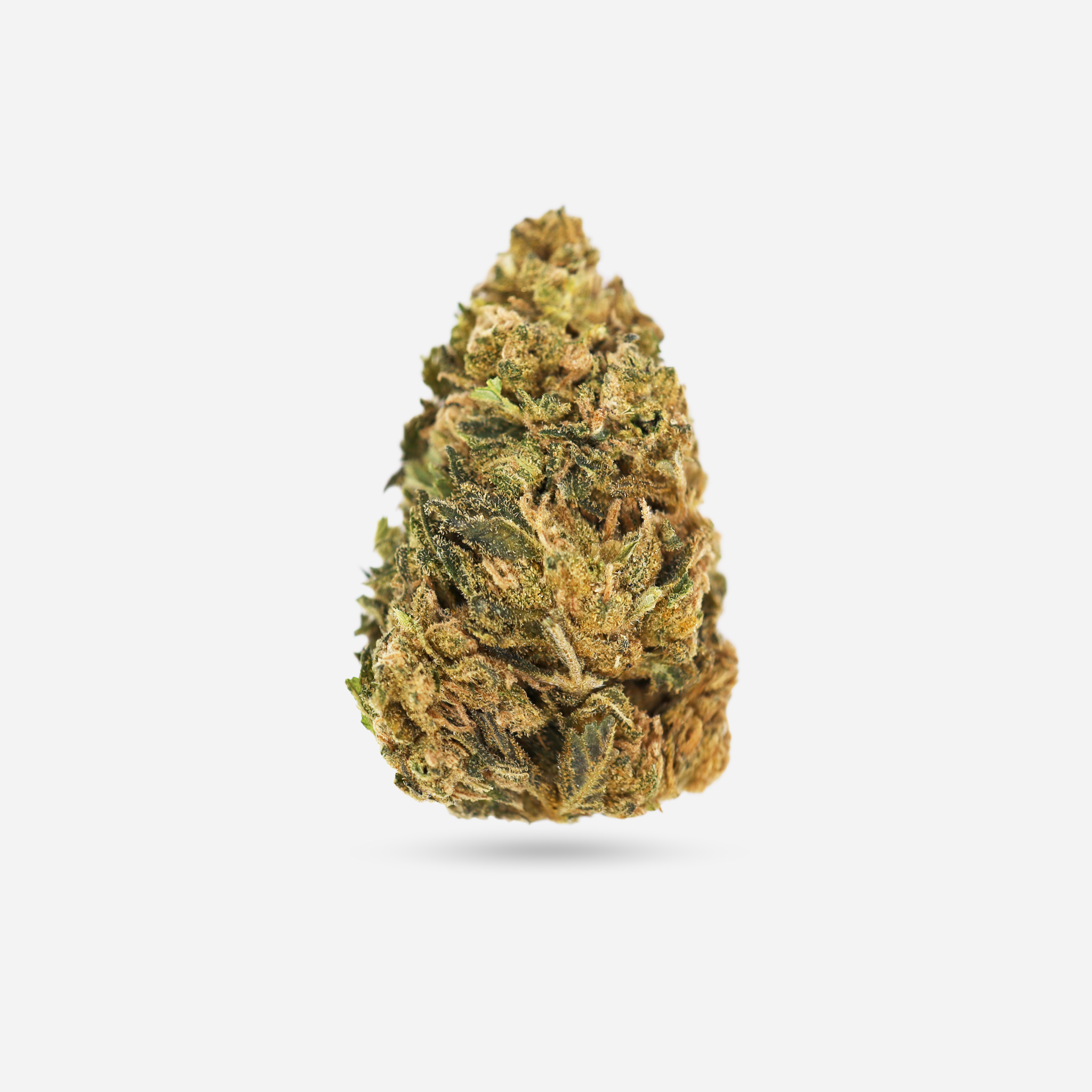 Deadhead OG - Hybride - Bloom Supply