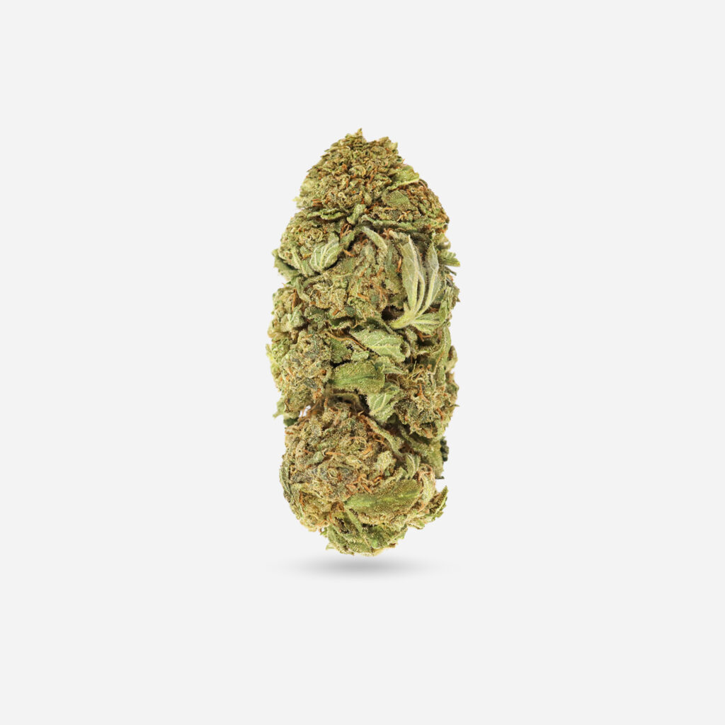 Goji OG - Sativa - Bloom Supply